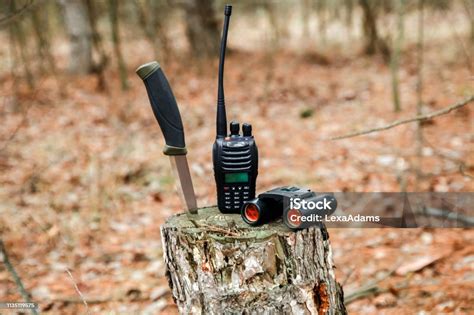 가을 숲의 그 루터 기에 도끼 쌍안경 관광 칼 및 라디오 세트 0명에 대한 스톡 사진 및 기타 이미지 0명 가을 개체 그룹 Istock