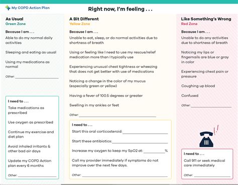 COPD Action Plan Wellinks Knowledge Base