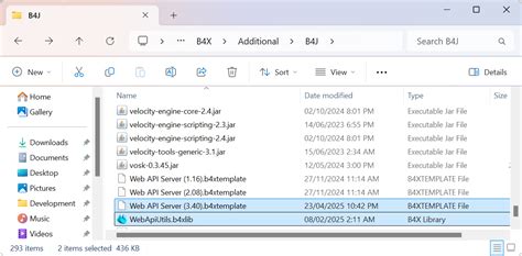 Web Api Server V3 B4x Programming Forum