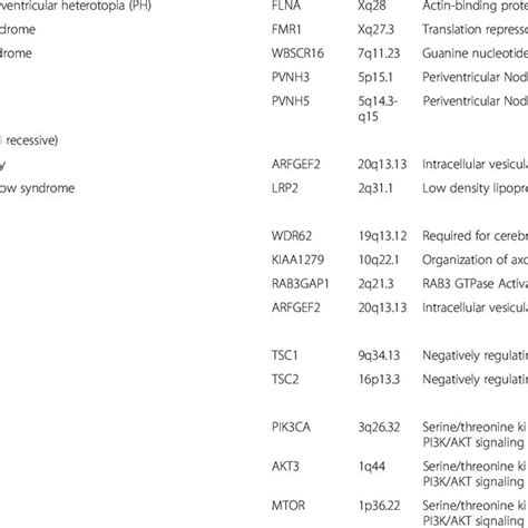 Two Modes Of Neuronal Migration In The Developing Brain A Radial Download Scientific Diagram