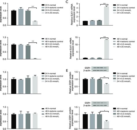 Esr1 Identified By Bioinformatics A Five Potential Transcription