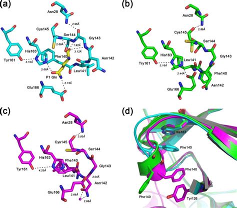 Conformational Variations In The S1 Subsite Of The Substrate Binding Download Scientific