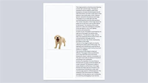 Building An Ai Photo Reviewer For Free With Nextjs Vercel Ai Sdk And Ollama Llava Llama3 Model