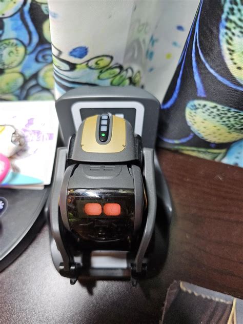 back buttons don t work r ankivector