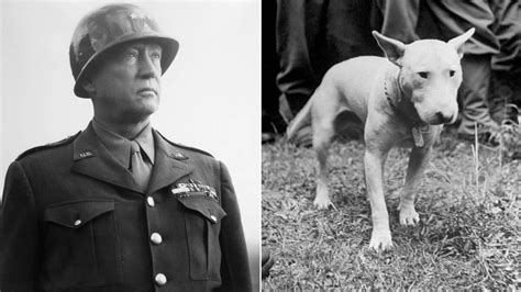 Una Amistad Eterna El General George S Patton Y Willie Su Inseparable Bull Terrier Infobae