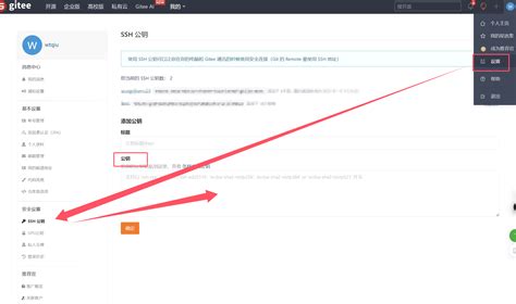windows上同时配置github和gitee服务 github gitee同时使用ssh csdn博客