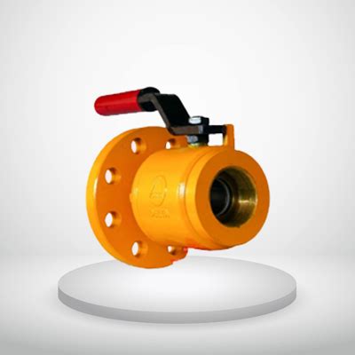 Non Return Valve
