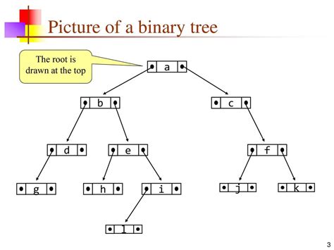 Binary Trees Ppt Download