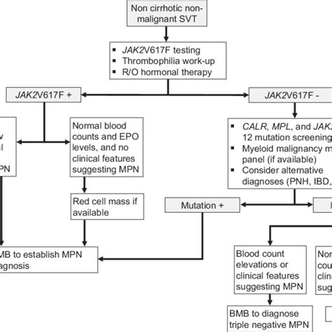 Diagnostic Algorithm For Non Cirrhotic Non Malignant Svt Download Scientific Diagram