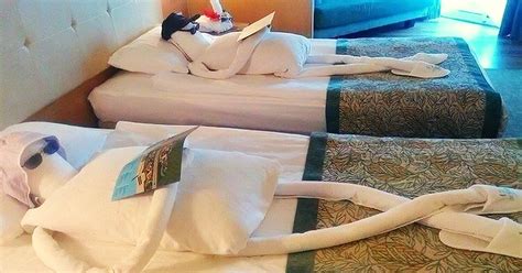 15 примеров когда уборщица в отеле показала высший класс