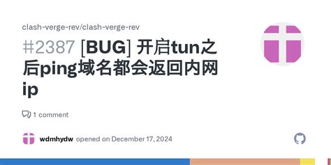 Bug 开启tun之后ping域名都会返回内网ip · Issue 2387 · Clash Verge Revclash Verge Rev · Github