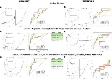 Table 1 From Detailed Spatial Immunophenotyping Of Primary Melanomas