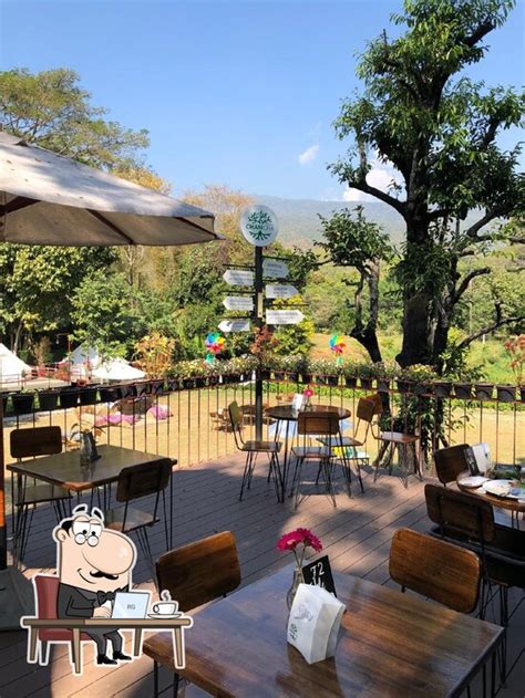 Chamcha Doi Kham Чиангмай Меню цены и отзывы о ресторане