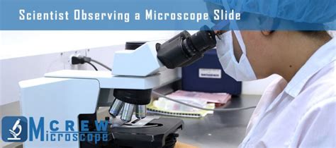 Types Of Microscope Slides Microscope Crew