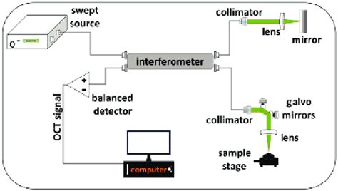 Graphical Representation Of The Working Principle Of Optical Coherence Download Scientific