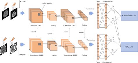 Figure 2 From Cross Modal Domain Adaptation In Brain Disease Diagnosis