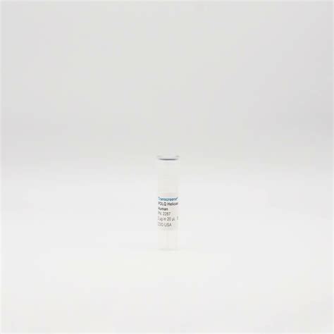 Recombinant Polq Helicase Enzyme Human Bellbrook Labs