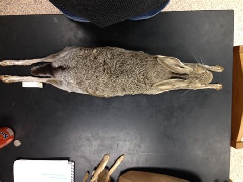 Marine Bio Quiz 1 Flashcards Quizlet