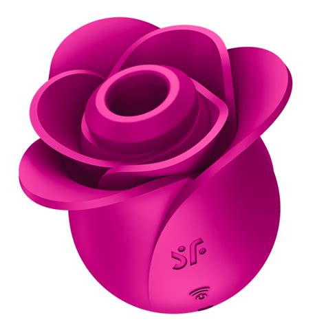 Satisfyer Pro 2 Modern Blossom Rose Clitoral Stimulator Play With Me