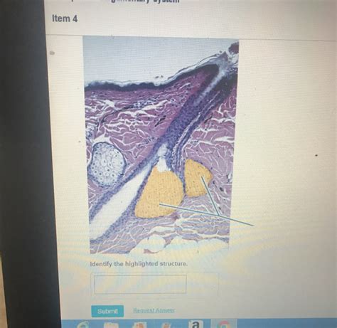 solved item 4 identify the highlighted structure submit