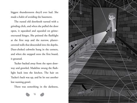 Lima Bean Book Stripes At Alexandra Hellyer Blog