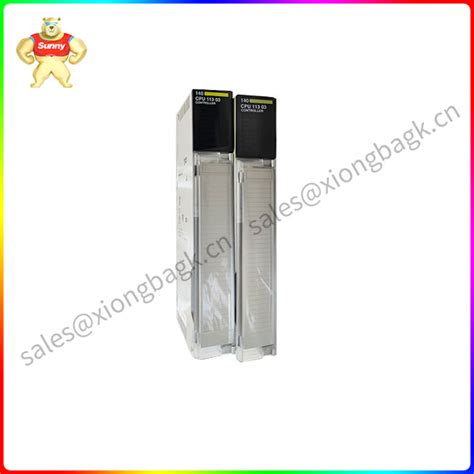 CPU Output Module Schneider