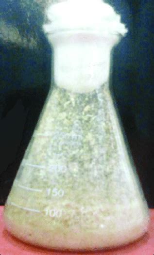 Solid State Fermentation Download Scientific Diagram