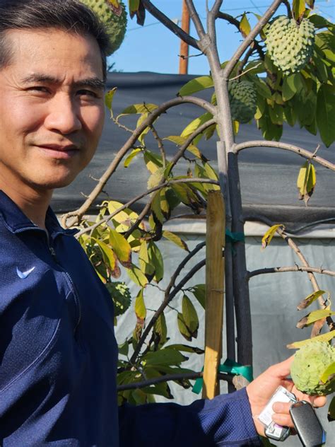 Avoid The Sub Zero Temp And Hung Out In Orange County At Magnolia Garden Nursery General