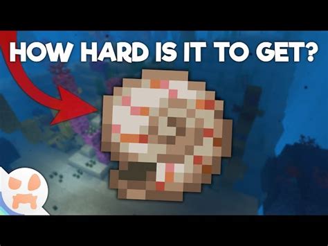 How Rare Are Nautilus Shells In Minecraft 1 19 Update