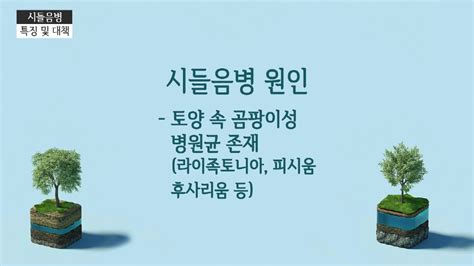 2021 새해농업인 실용교육 오이 재배 핵심기술 Youtube