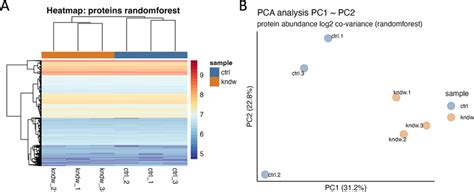 post normalization visualizations showing a hierarchal clustering download scientific diagram