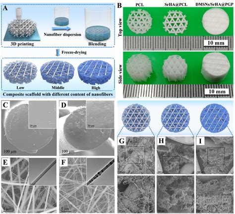 结构与功能适配仿生骨支架引导组织快速浸润与血管化骨再生 检测资讯 嘉峪检测网