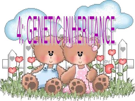 Ppt 4 Genetic Inheritance Pedigree Analysis Dokumen Tips