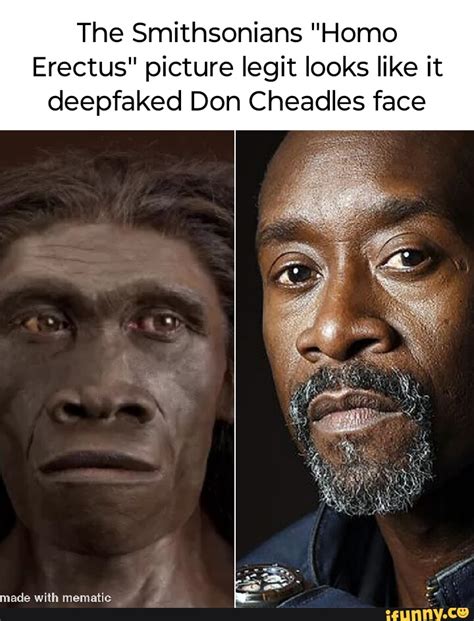 Homo Erectus Face