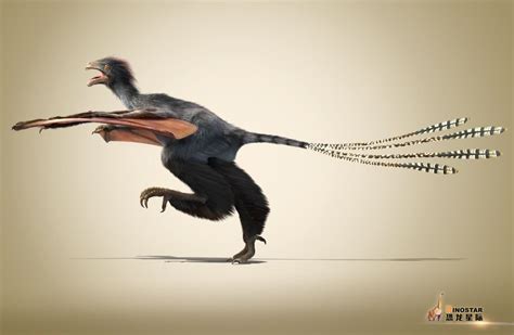 Chinas Golden Age Of Paleontology Cnn