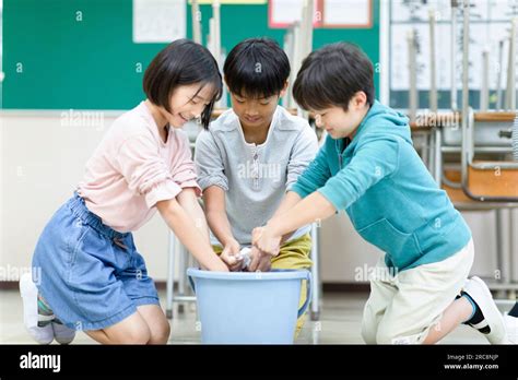 Elementary School Students Wringing Out A Rag In The Classroom Stock