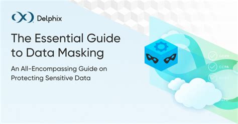 The Essential Guide To Data Masking Perforce Delphix
