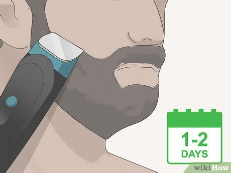 How To Line Up Your Beard Shaping Your Neckline Cheeks