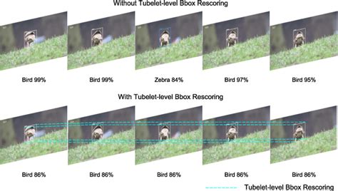 Frame Level Bbox Rescoring Download Scientific Diagram