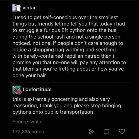 Motivational Python Rtumblr