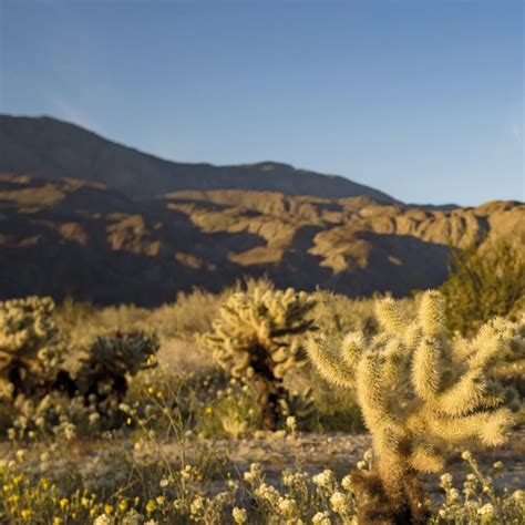 Connections Shortlist Dezeen Awards 2021