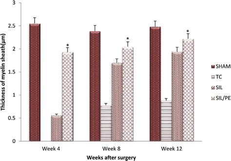 the graph shows the quantitative results of mean thickness of myelin