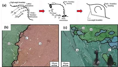 A Schematic Illustration Of Discontinuous Dynamic Recrystallization Download Scientific