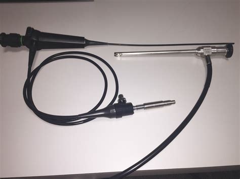 Laryngeal Endoscopy And Stroboscopy Ento Key