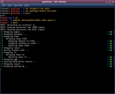 gentoo 10 1 vm installation guide