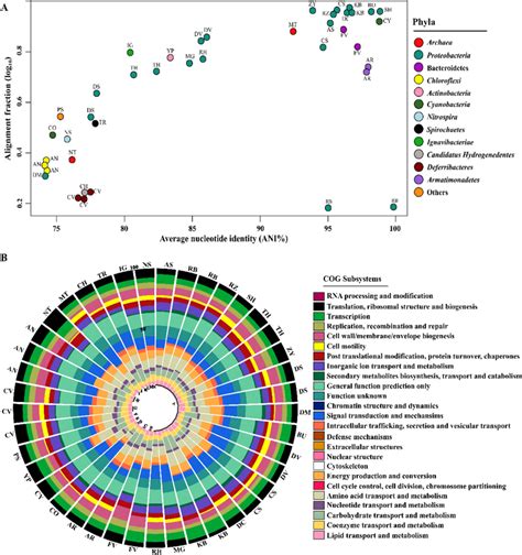 Functional Annotations Of Reconstructed Genomes A Average Nucleotide Download Scientific