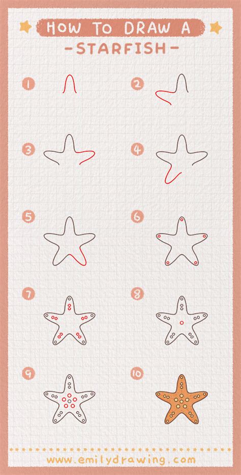 How To Draw A Starfish Emily Drawing