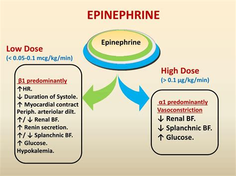 Ppt Inotropes In Cardiogenic Shock Powerpoint Presentation Free