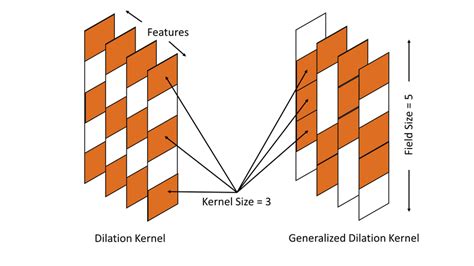 Comparison Between Standard Dilation Structure Left And Generalized Download Scientific