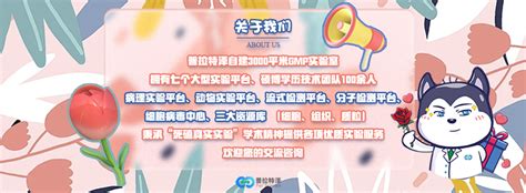 细胞培养所有知识汇总大全【超详细】